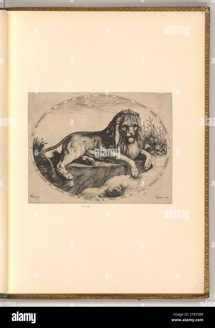 Jacob de Gheyn II. (Engraver) The big lion. Copper engraving print 1588 ...