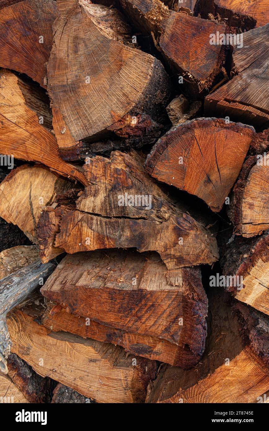 Timber cut mexico hi-res stock photography and images - Alamy