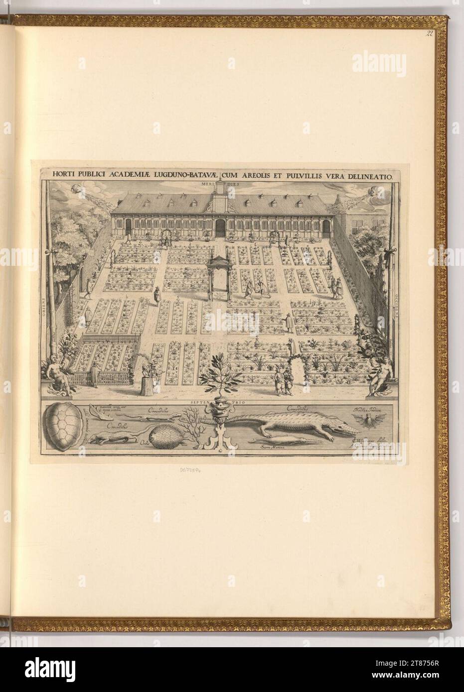 Willem van Swanenburg (Engraver) Hortus Botanicus. Copper engraving ...