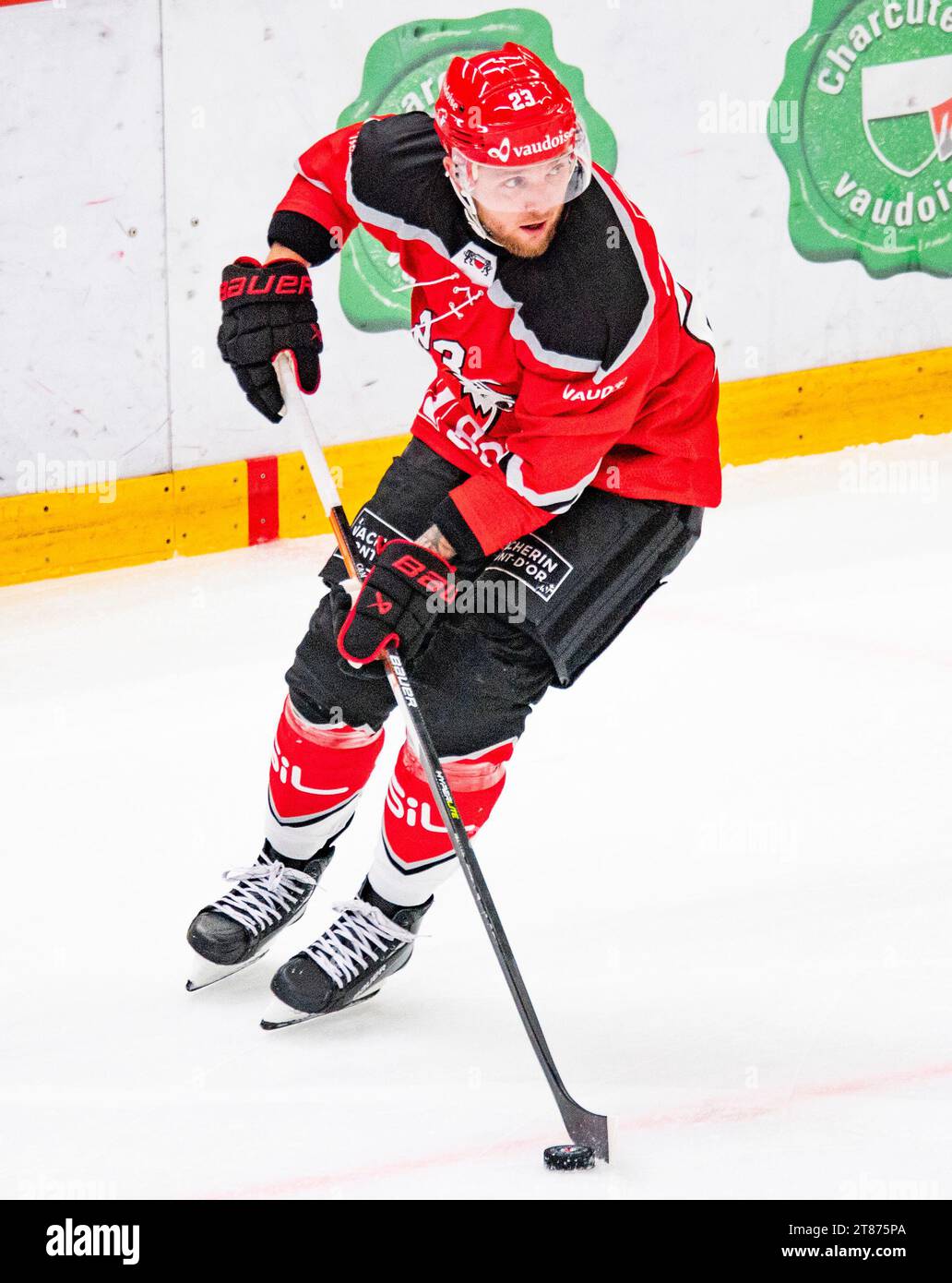 Robin kovacs hi-res stock photography and images - Alamy