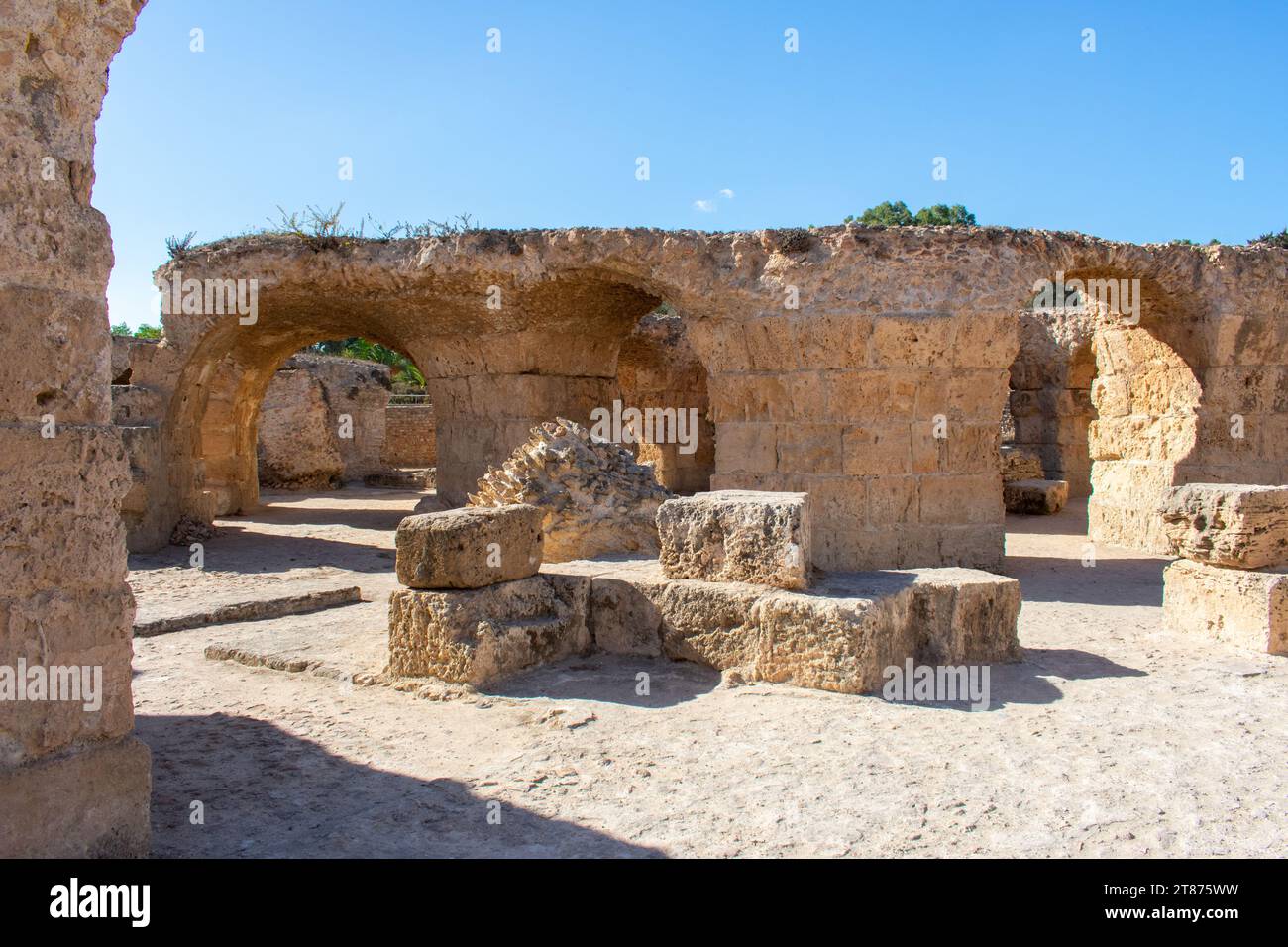 Ruins of Ancient city Carthage near Tunis, Tunisia. Archaeological site ...