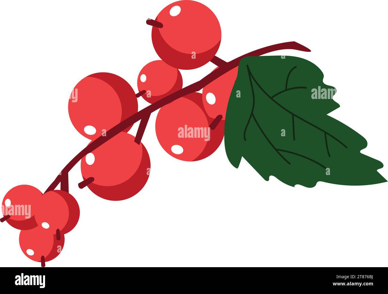 Black currant juice Stock Vector Images - Alamy