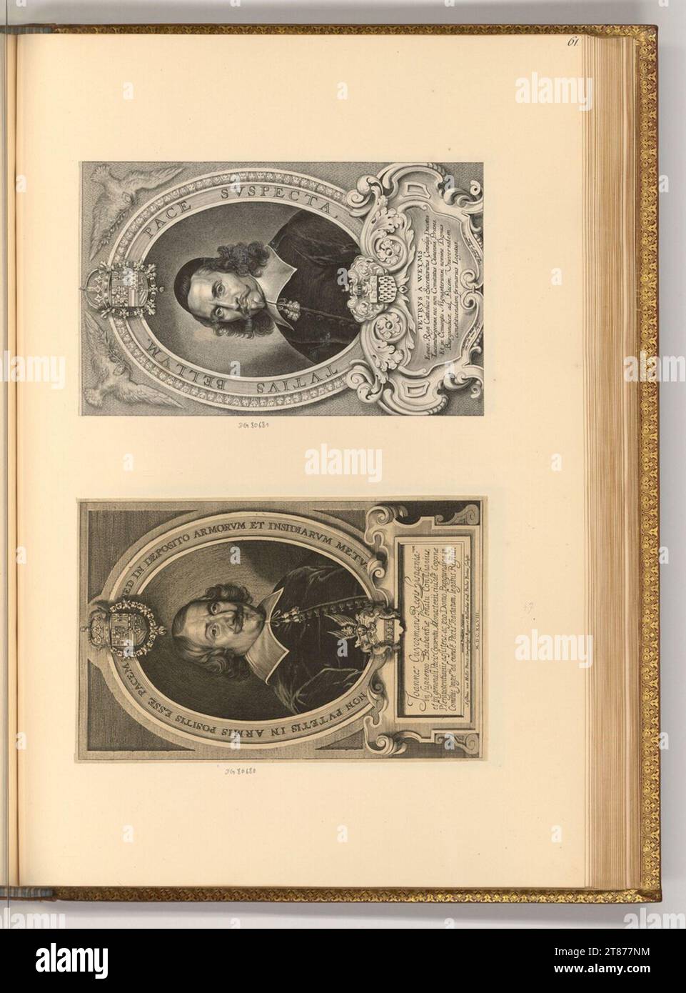 Pieter van weyms hi-res stock photography and images - Alamy