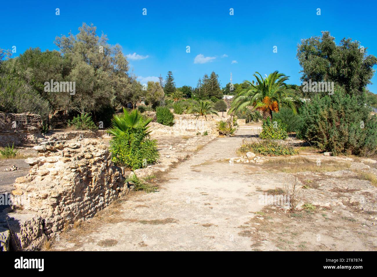 Ruins of Ancient city Carthage near Tunis, Tunisia. Archaeological site ...
