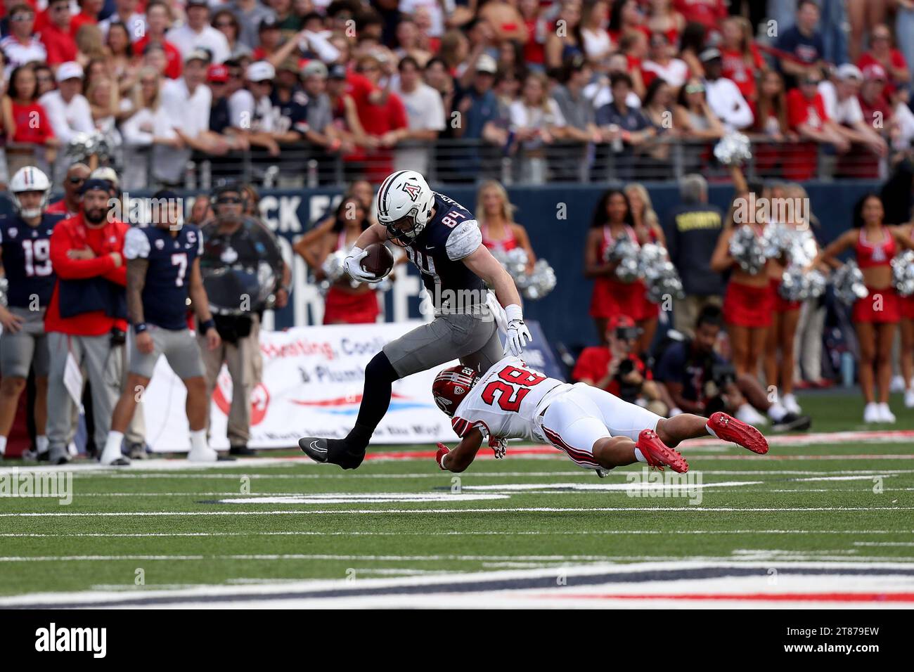 TUCSON, AZ - NOVEMBER 18: Arizona Wildcats tight end Tanner McLachlan ...