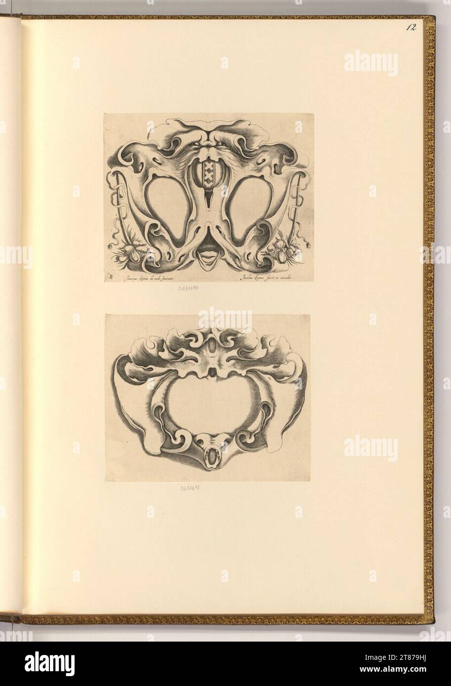 Jacobus Lutma (Engraver) Chart aisles with a shell plant. etching 1653 ...