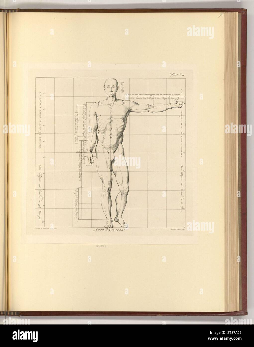 Jan Punt (Engraver) Proportion study II, man in full figure, back view ...