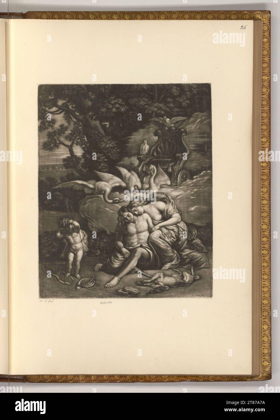 Dead adonis hi-res stock photography and images - Alamy