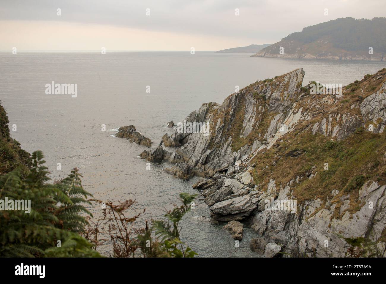 cliffs in the Cantabrian sea seen from the forest Stock Photo - Alamy