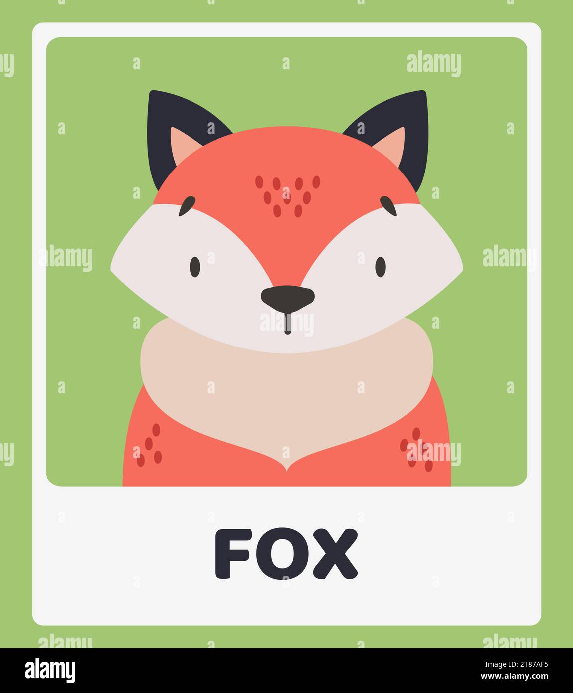 Cute red fox. Animal portraits. Educational cards for children. Simple ...