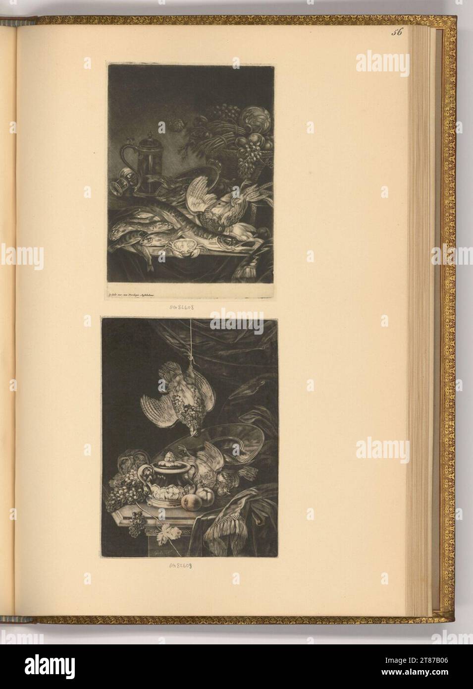 Jacob Gole (Engraver) Still life with fish and pheasant. Skiing 1680 ...