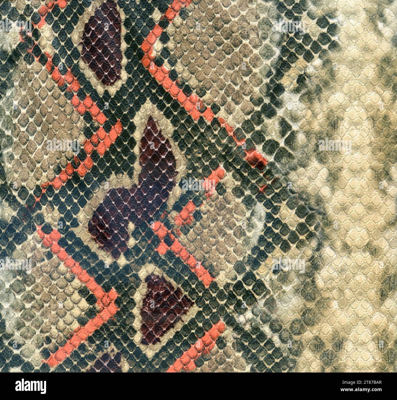 Snakeskin embroidery hi-res stock photography and images - Alamy