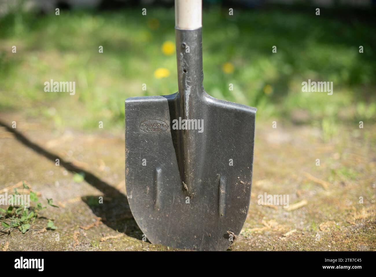 Shovel is stuck in ground. Garden tool. Shovel in garden. Excavation ...