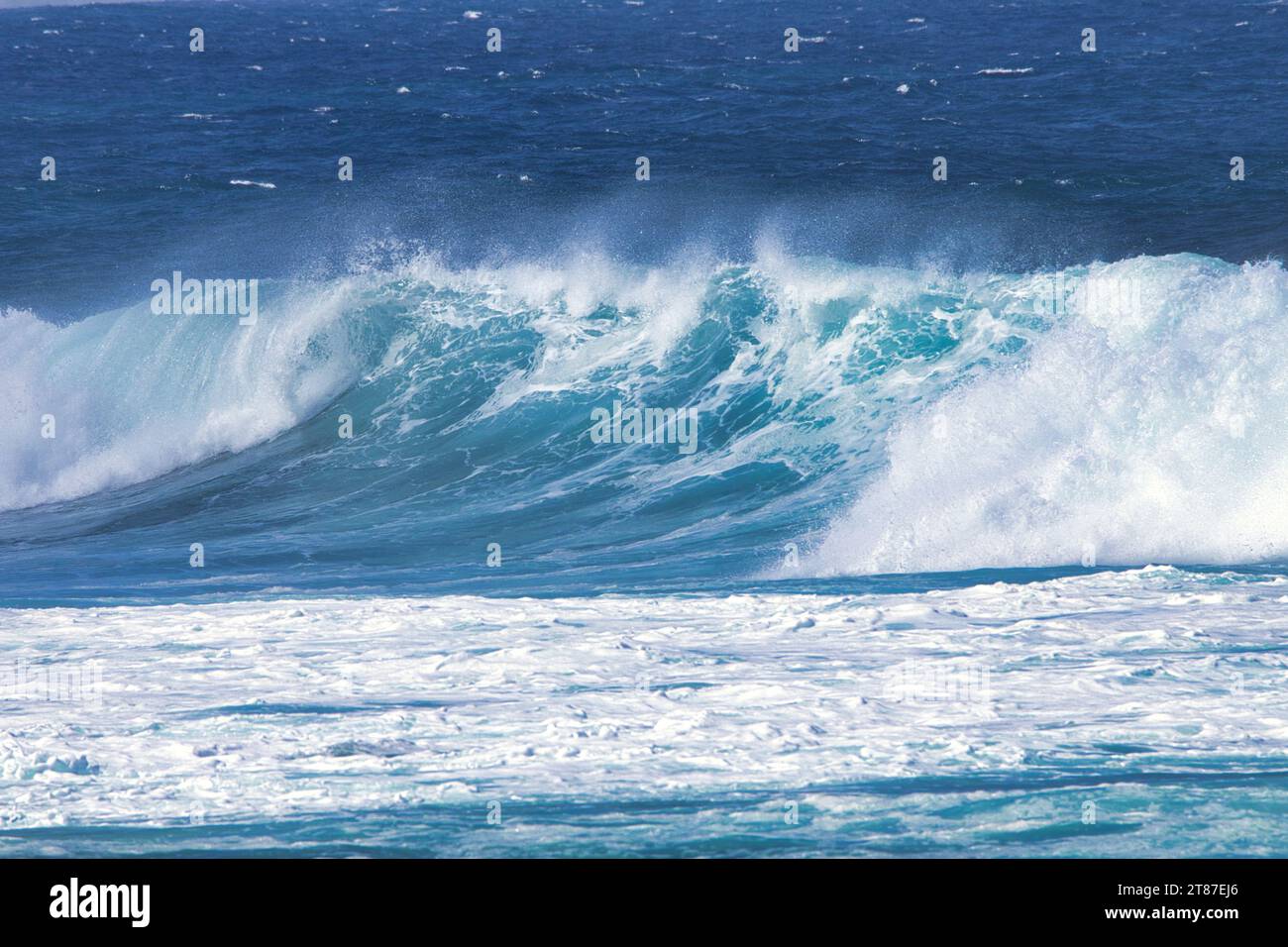 Beautiful large ocean wave breaking at a maui beach Stock Photo - Alamy
