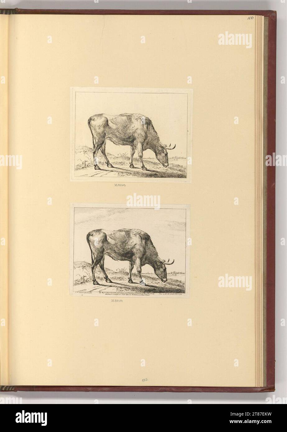 Heinrich schweickhardt hi-res stock photography and images - Alamy