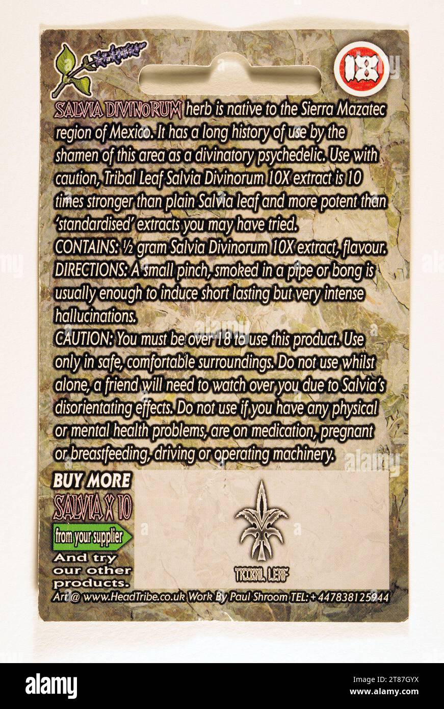 Salvia Divinorum 10 X extract - Recreational Drug Stock Photo - Alamy