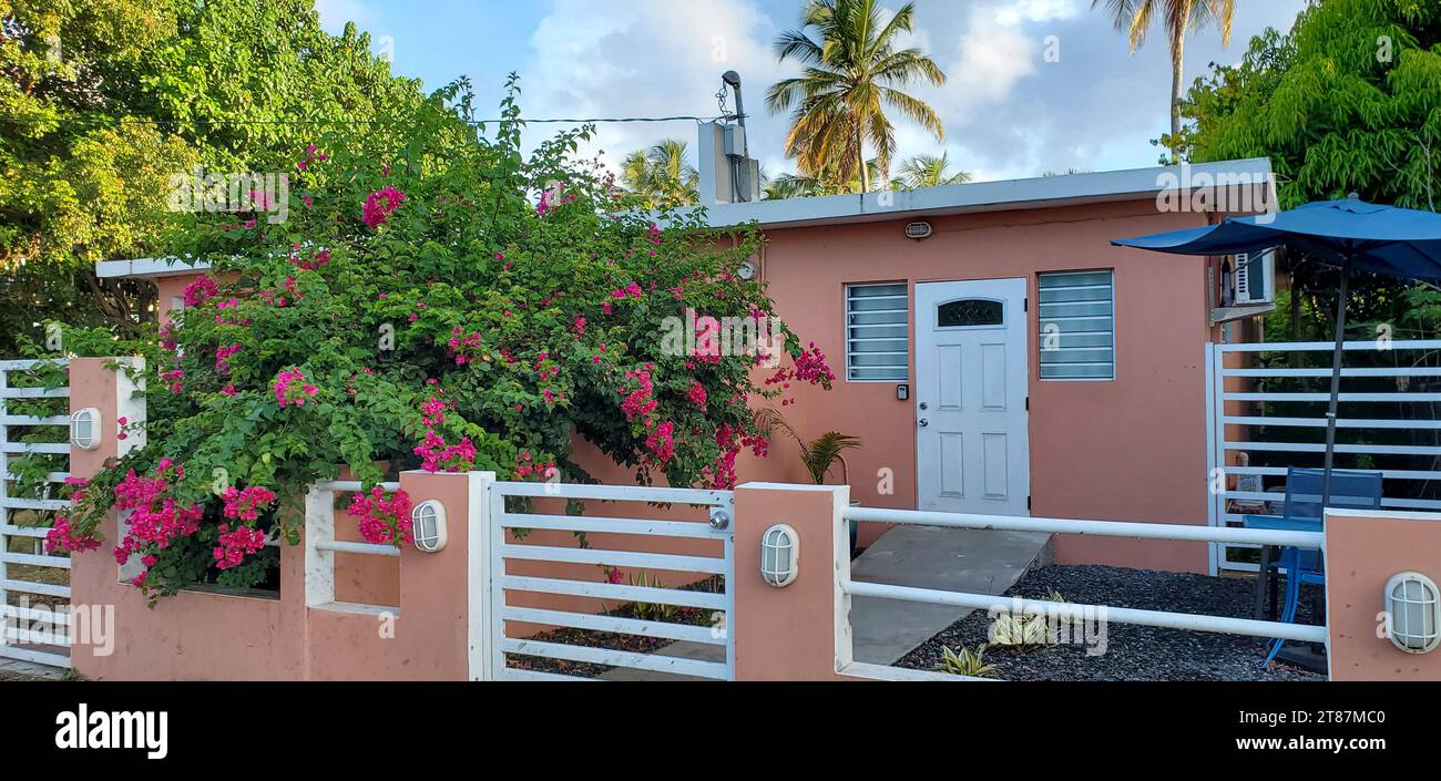House painted a salmon color on Vieques, an island off Puerto Rico ...