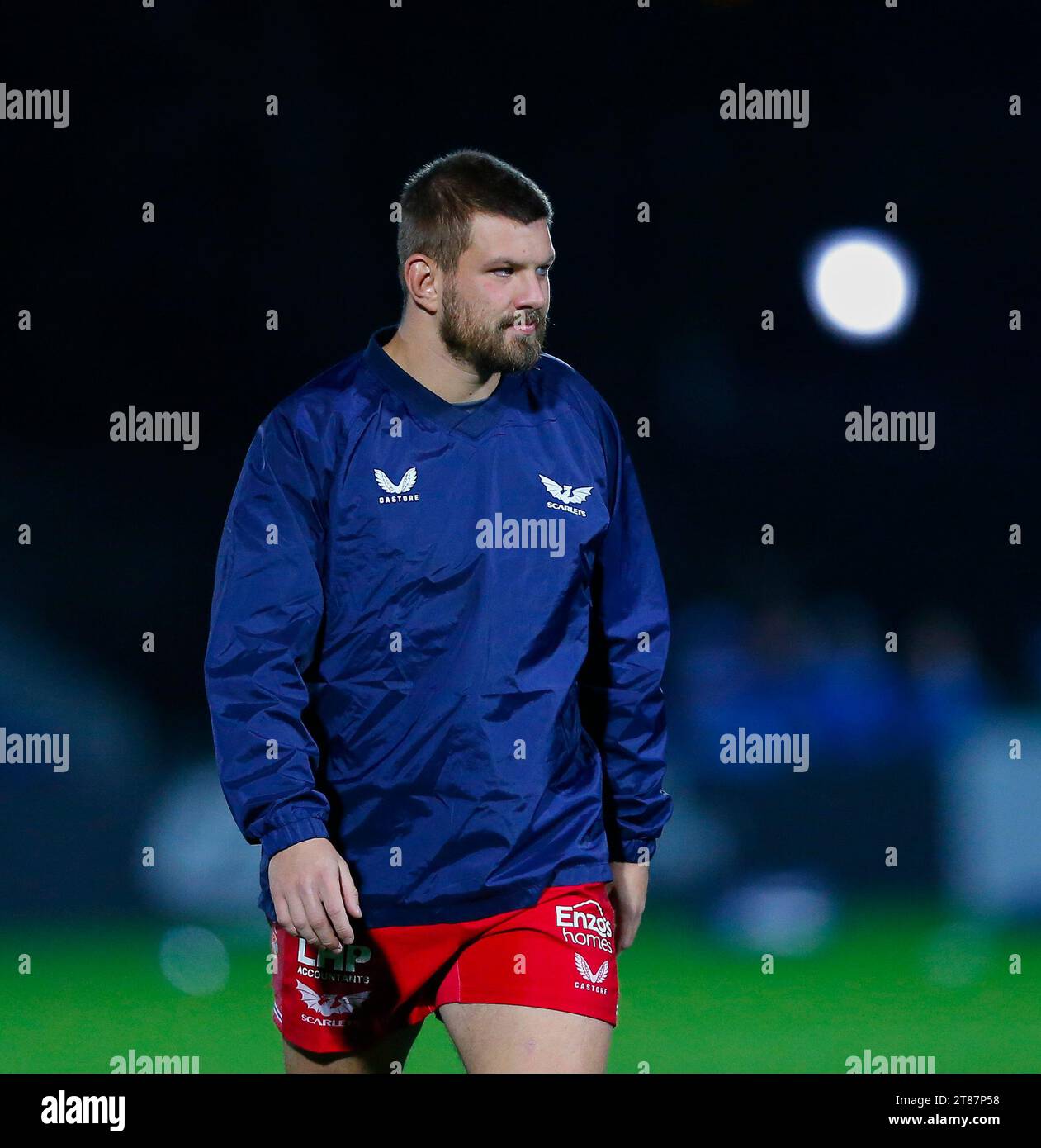 Scarlets rugby player hi-res stock photography and images - Alamy