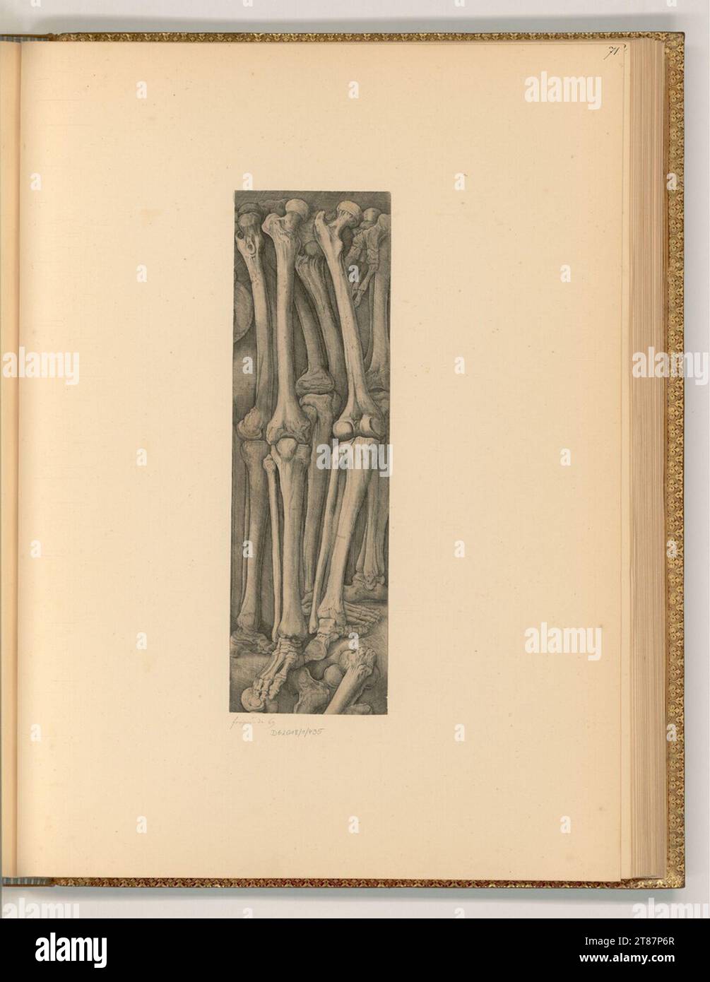 Giovanni Battista Franco gen. Semolei (Engraver) Fragments of a ...