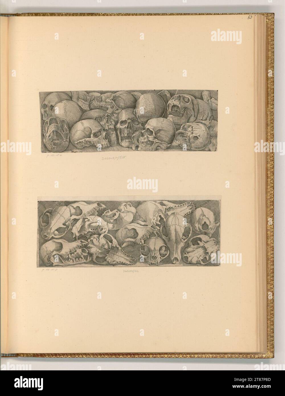 Giovanni Battista Franco gen. Semolei Skeleton of the skull. etching ...