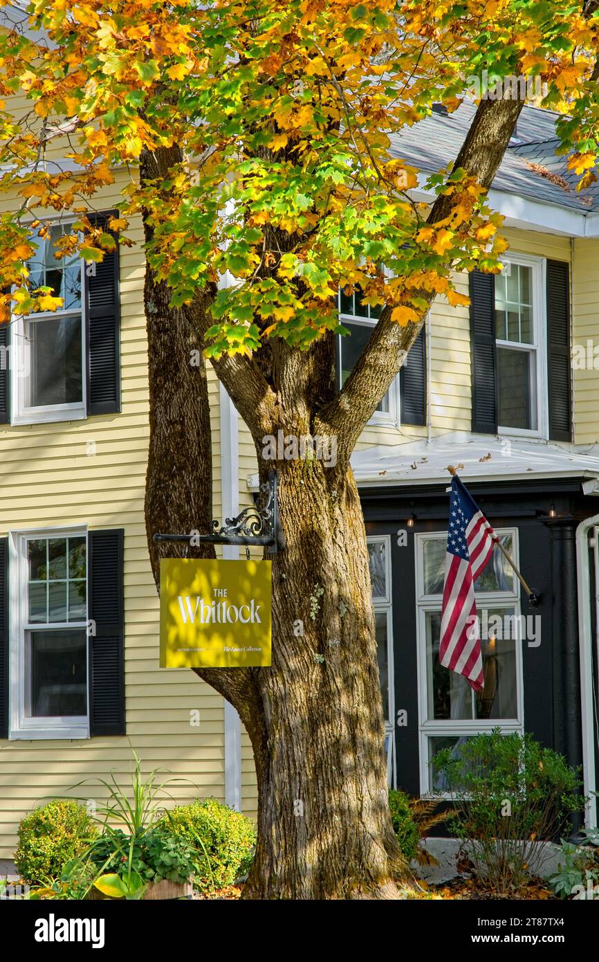 Brightly lit maple in autumn colors frame yellow colonial style ...