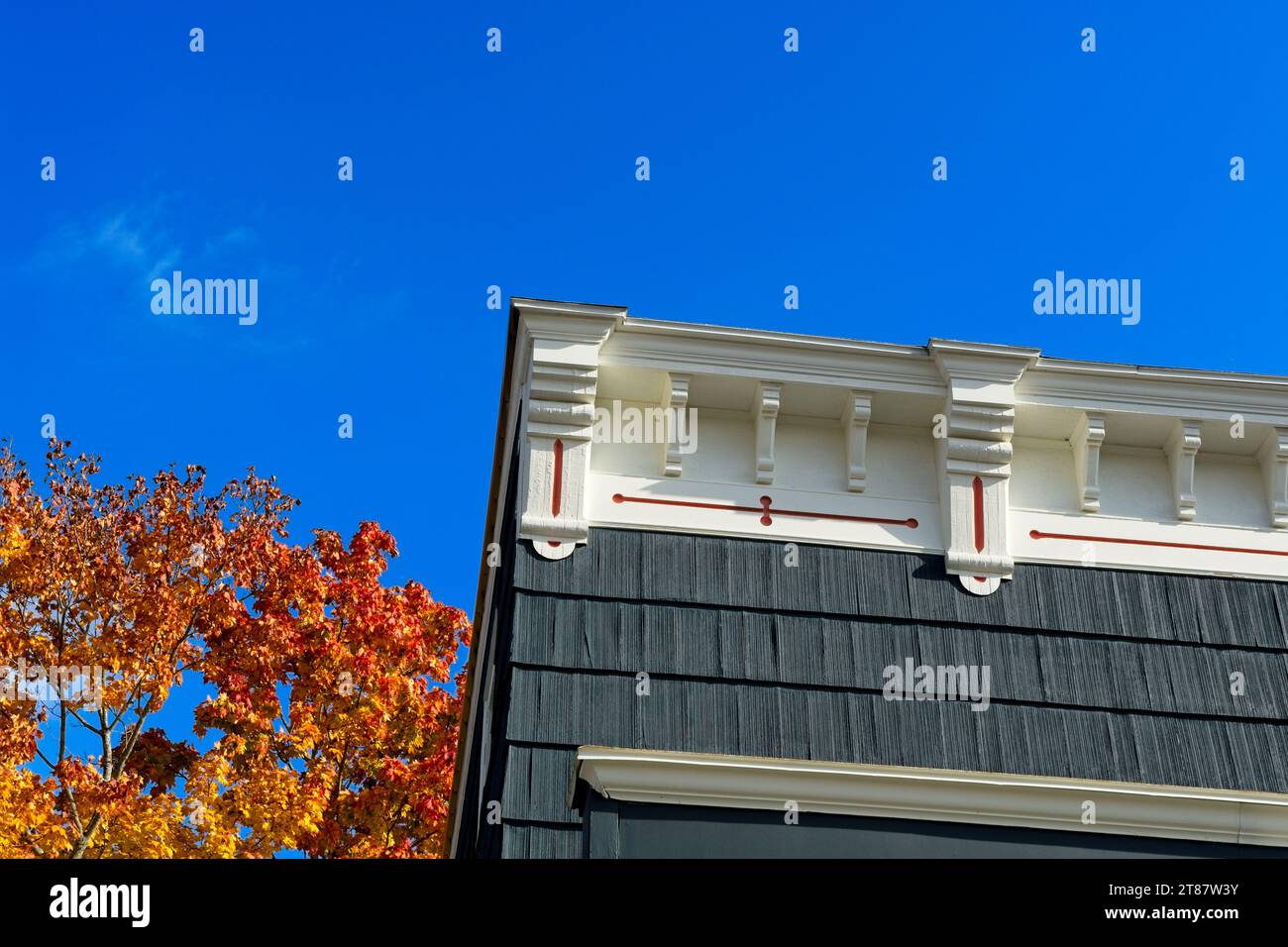Ornate building cornice set against blue sky autumn colored tree Stock ...