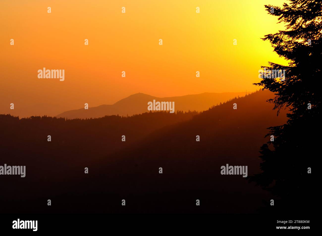 golden hour sunset Stock Photo - Alamy