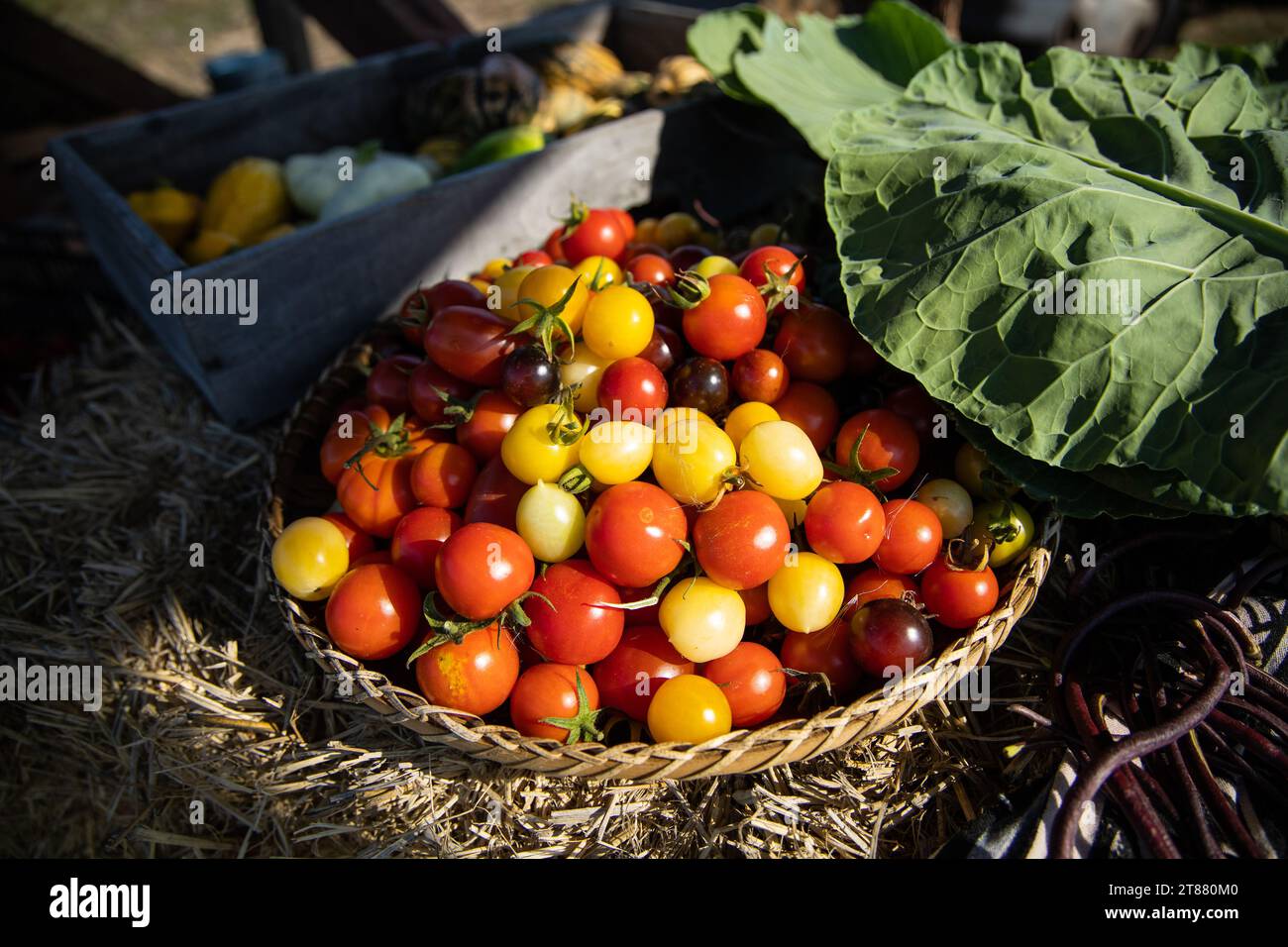 Home grown fruit and vegetables hi-res stock photography and images - Alamy