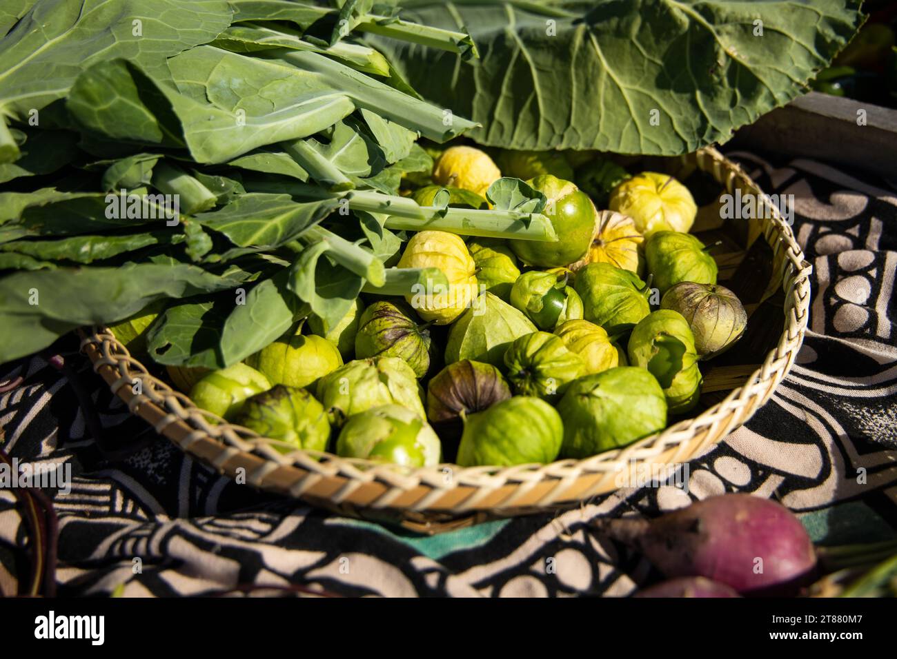 fresh home grown produce Stock Photo - Alamy