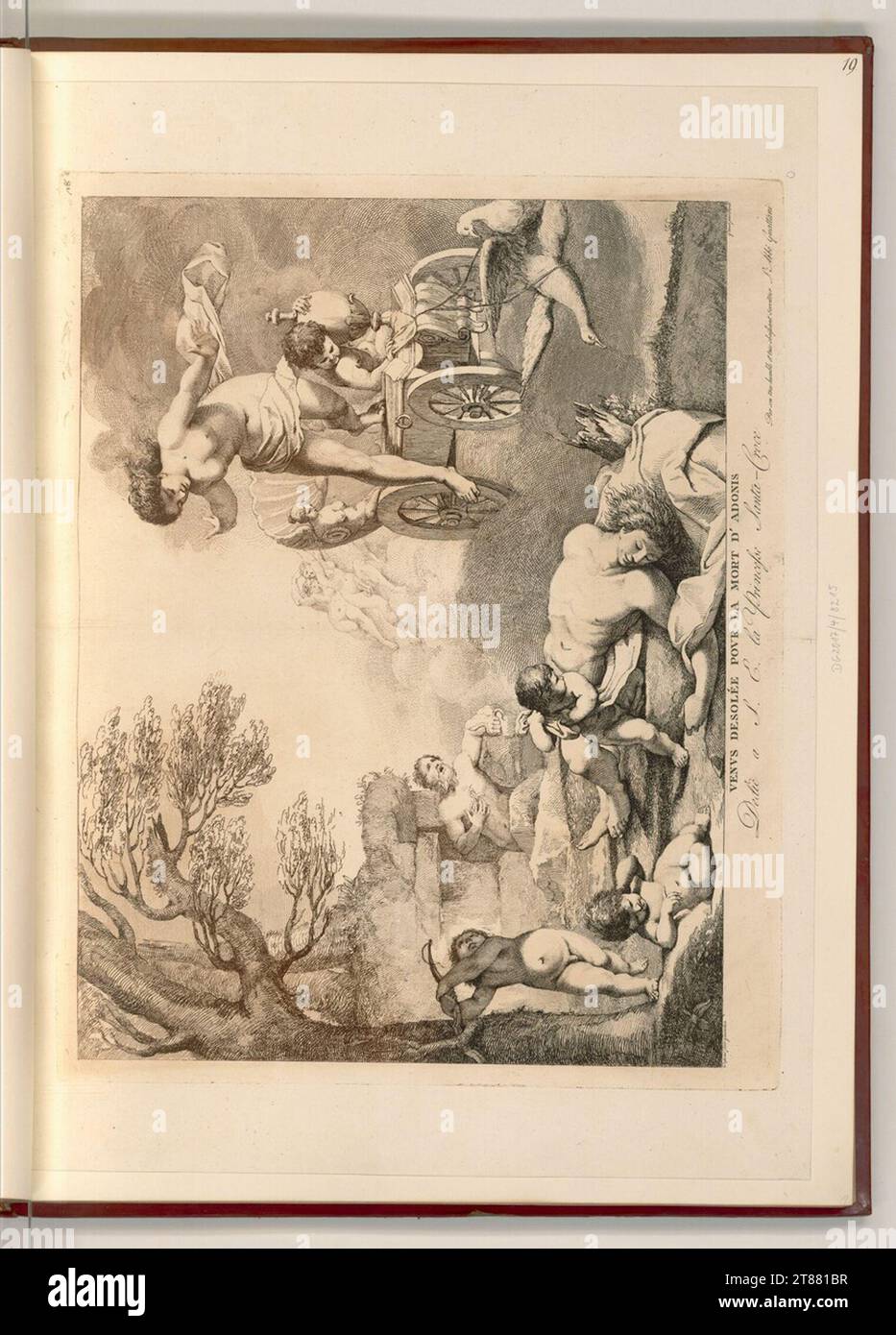 Tommaso Piroli Venus sees the dead Adonis. etching 1772-1824 , 1772/ ...