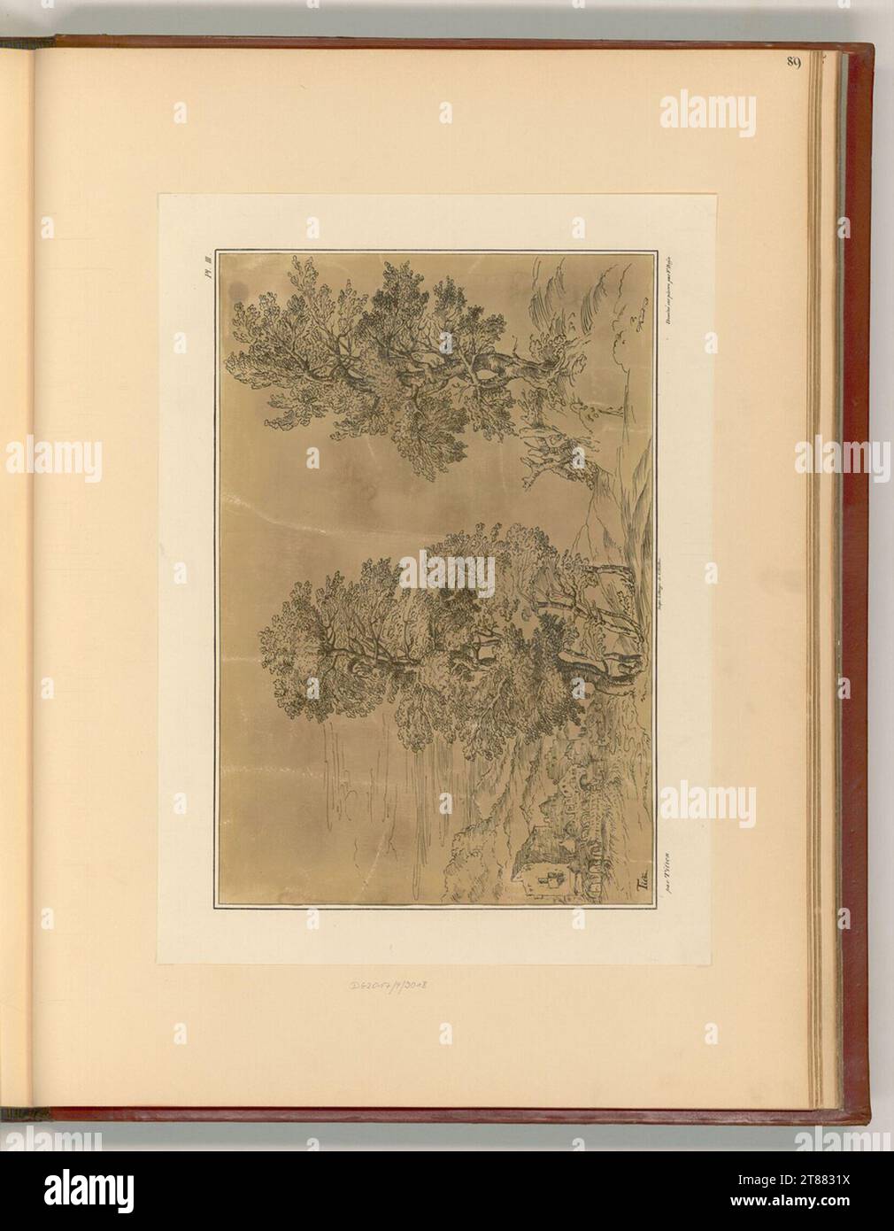 C. Müller (Lithograph in) Tree landscape. Lithography 1801-1850 , 1801/ ...