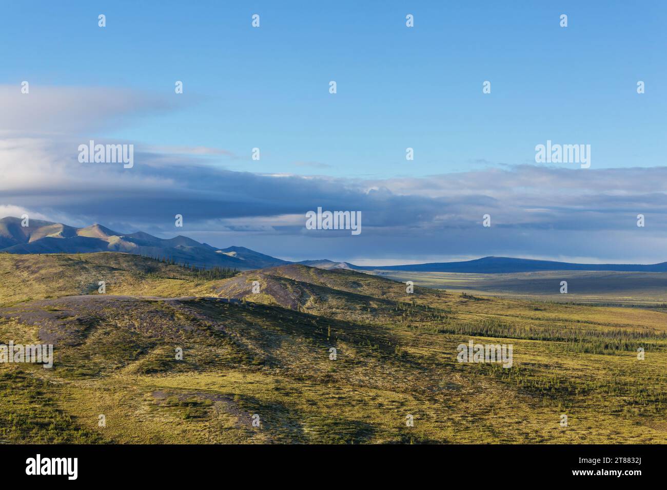 Tundra landscapes above Arctic circle Stock Photo - Alamy