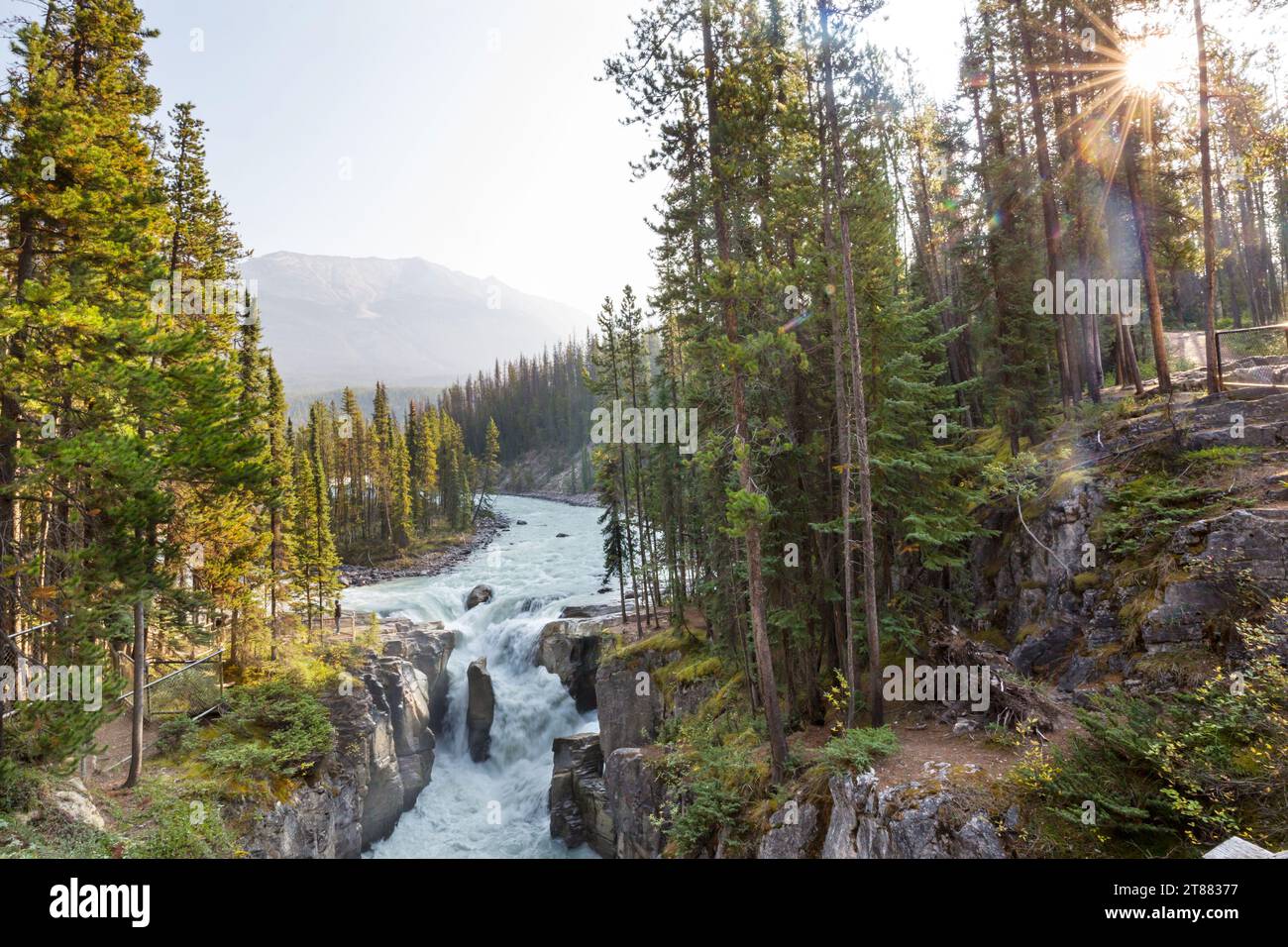 Beautiful mountains river in summer season, Canada Stock Photo - Alamy