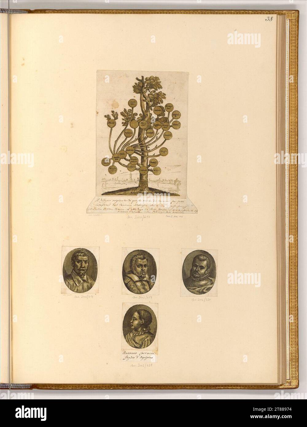 Veronica Fontana The family tree of the Carracci, men's portraits ...