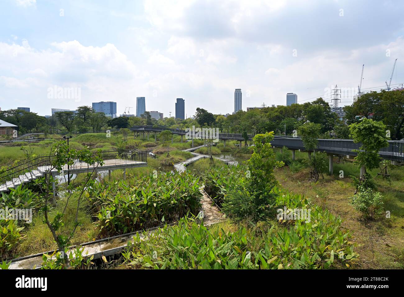 Opened in 2022, the Forest Park is a major expansion to Bangkok's ...