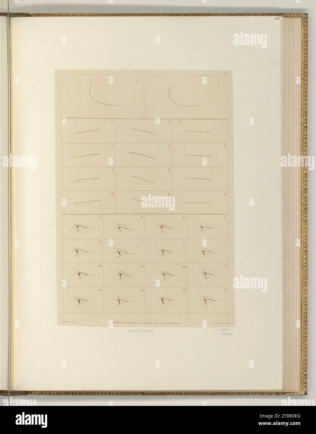 Francesco Bartolozzi (Engraver) Contour lines and eyes. Etching, copper ...