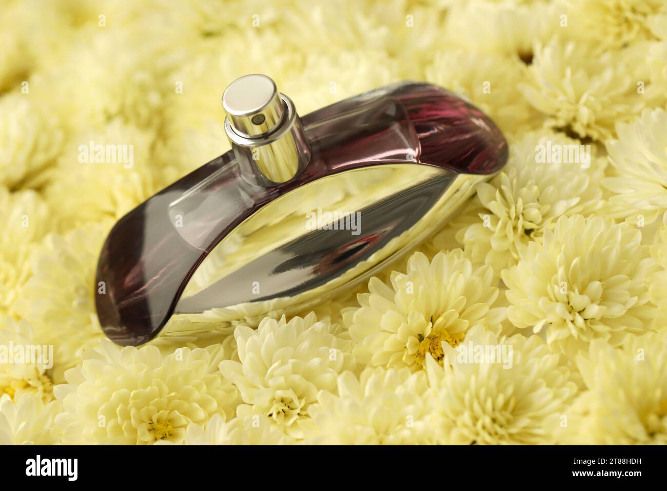 KHARKIV, UKRAINE - JANUARY 2, 2021 Bottle of Euphoria perfume by Calvin ...