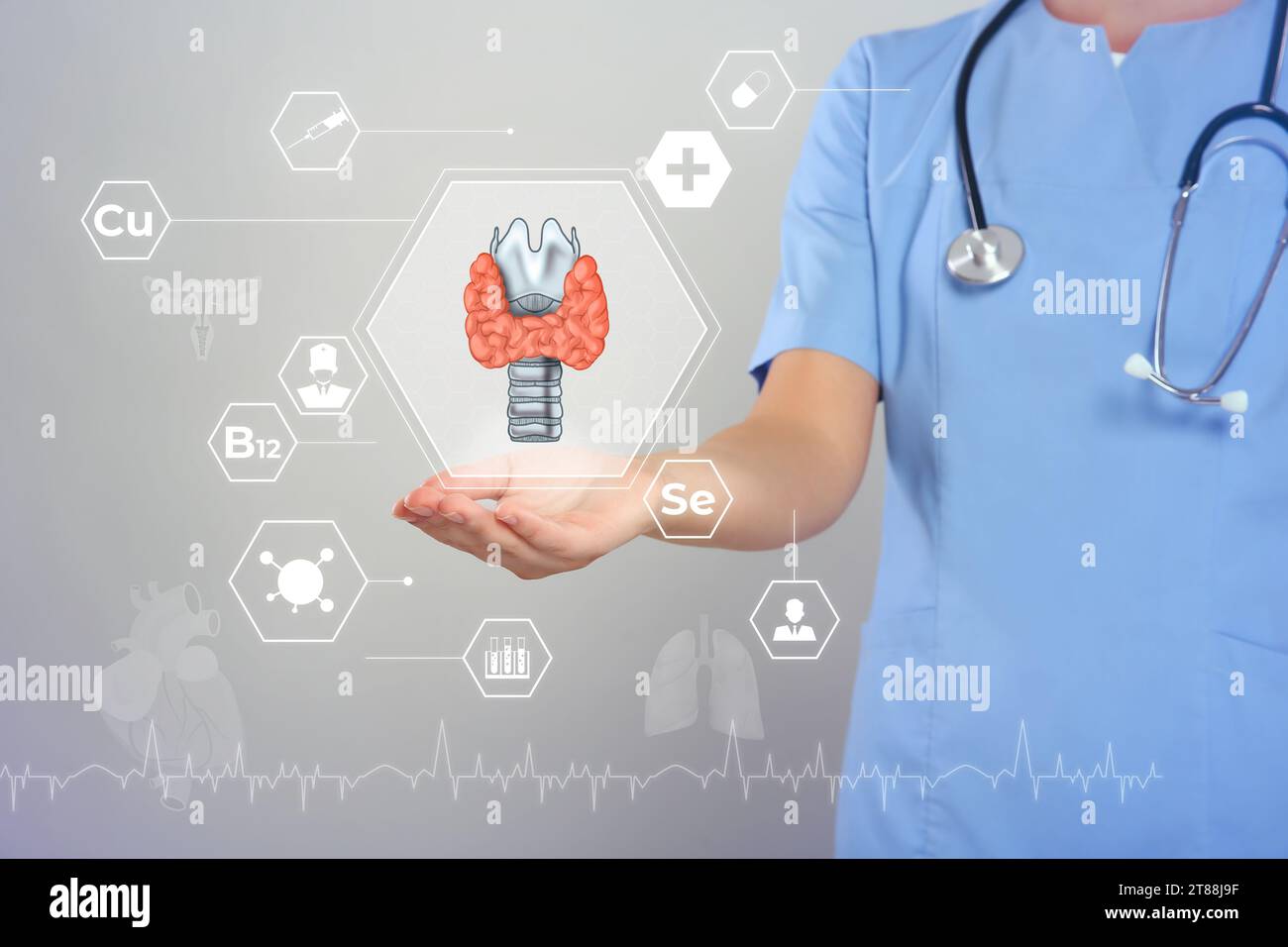 Diagnosis and treatment of thyroid diseases. Endocrinologist holding ...