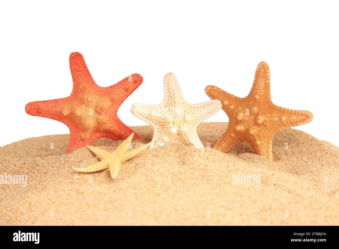 Sand with many beautiful sea stars isolated on white Stock Photo - Alamy