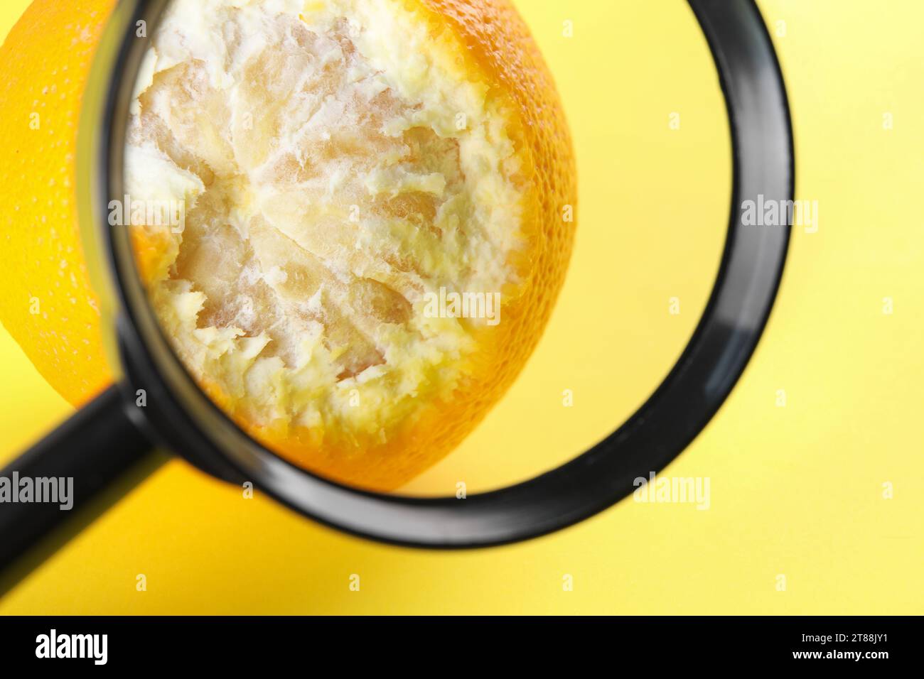 Cellulite problem. Zoomed orange on yellow background, view through ...