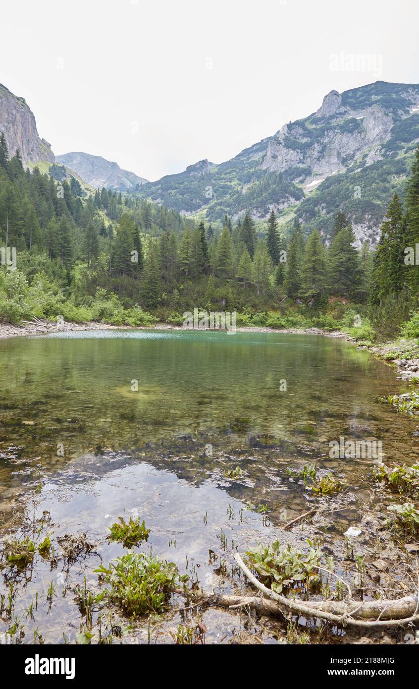 Trekking in the Rugova Valley, part of Kosovo's Accursed Mountains ...