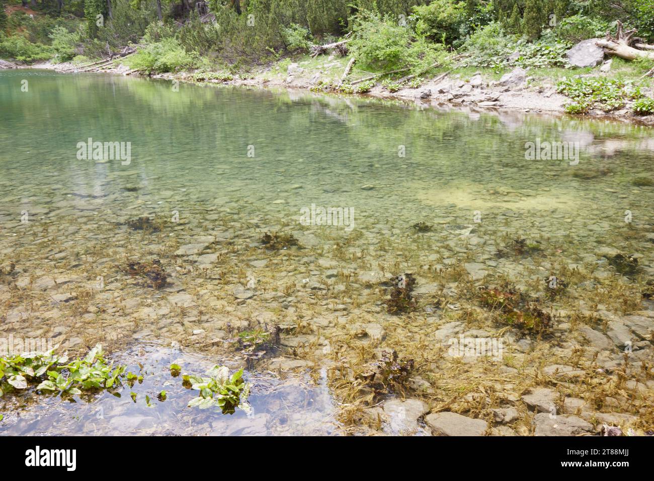 Trekking in the Rugova Valley, part of Kosovo's Accursed Mountains ...