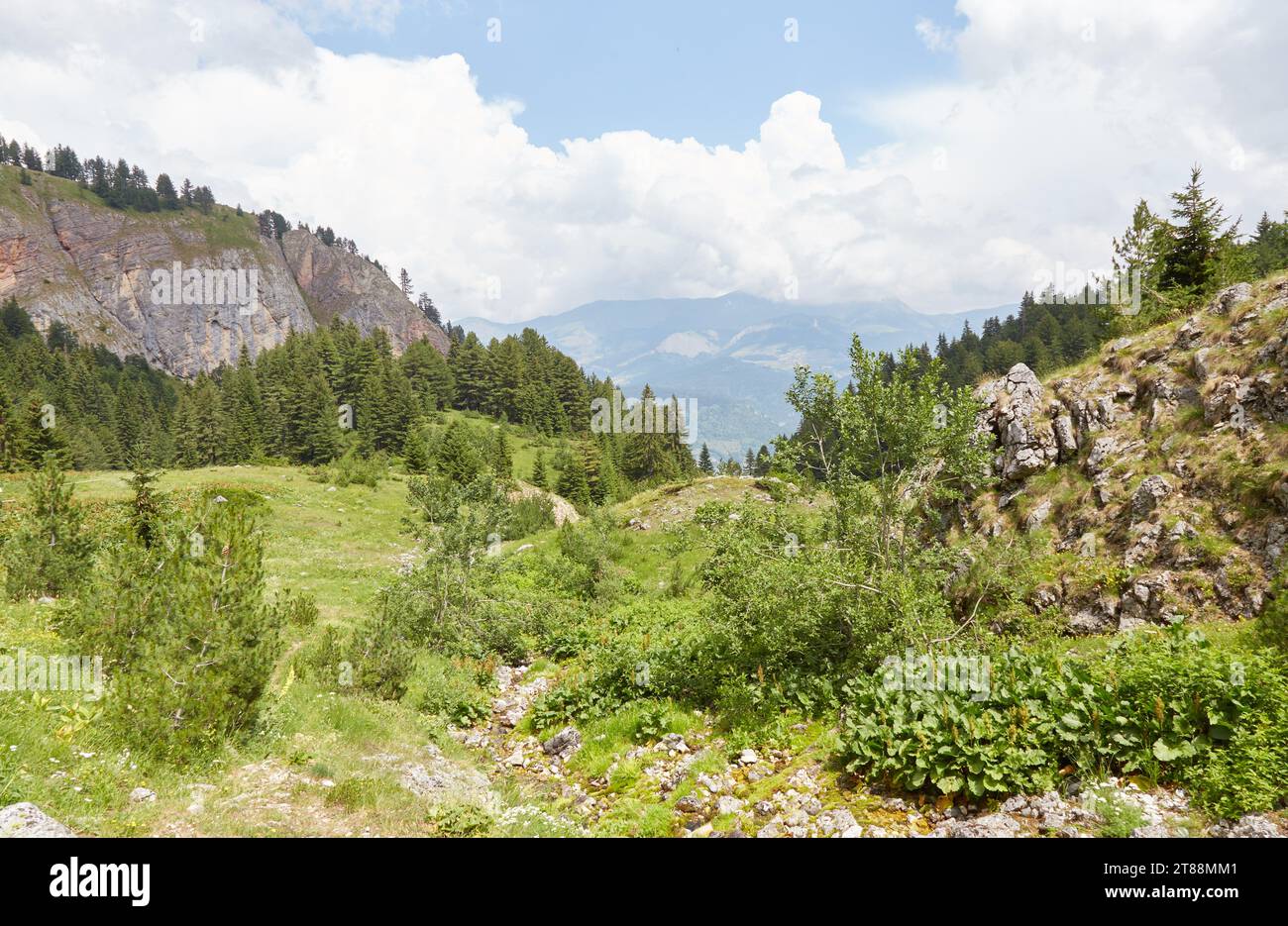 Trekking in the Rugova Valley, part of Kosovo's Accursed Mountains ...