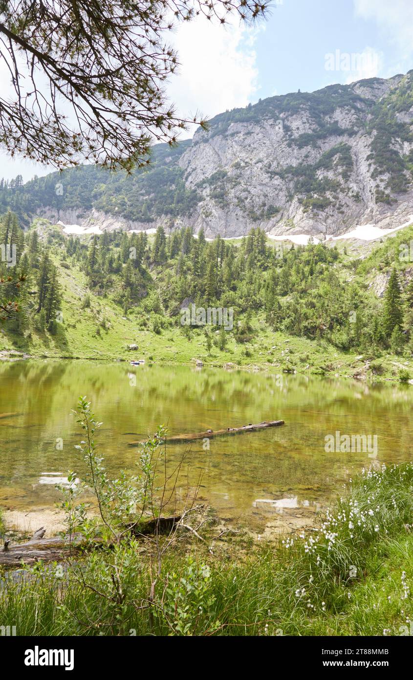 Trekking in the Rugova Valley, part of Kosovo's Accursed Mountains ...