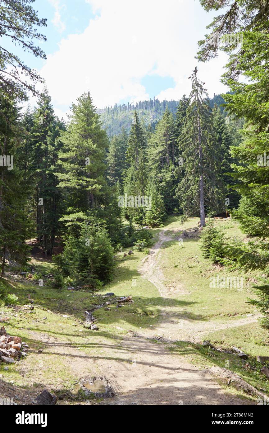 Trekking in the Rugova Valley, part of Kosovo's Accursed Mountains ...