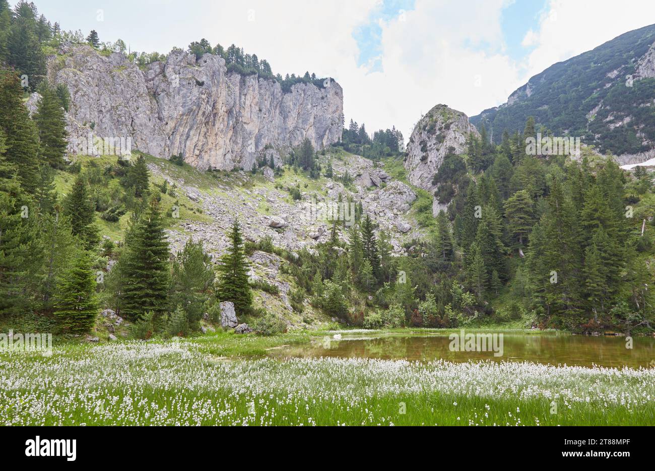 Trekking in the Rugova Valley, part of Kosovo's Accursed Mountains ...
