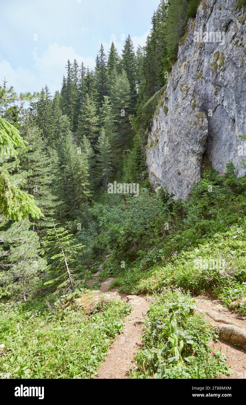 Trekking in the Rugova Valley, part of Kosovo's Accursed Mountains ...