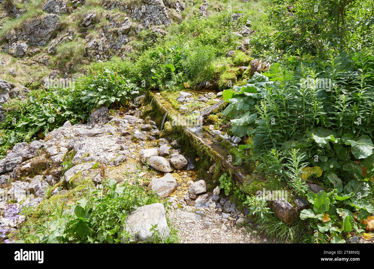 Trekking in the Rugova Valley, part of Kosovo's Accursed Mountains ...