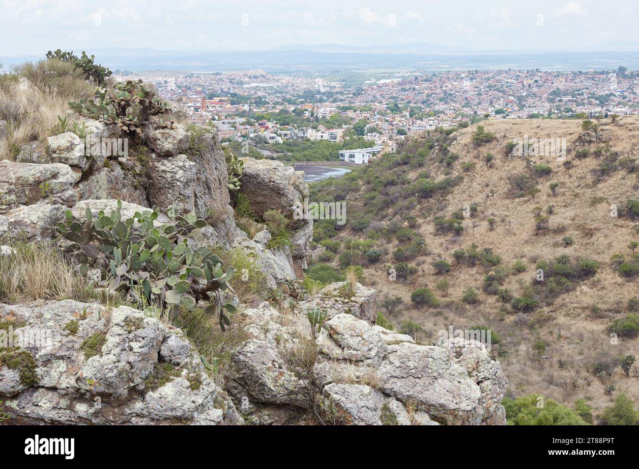 The scenic El Charco del Ingenio Botanical Garden in San Miguel de ...