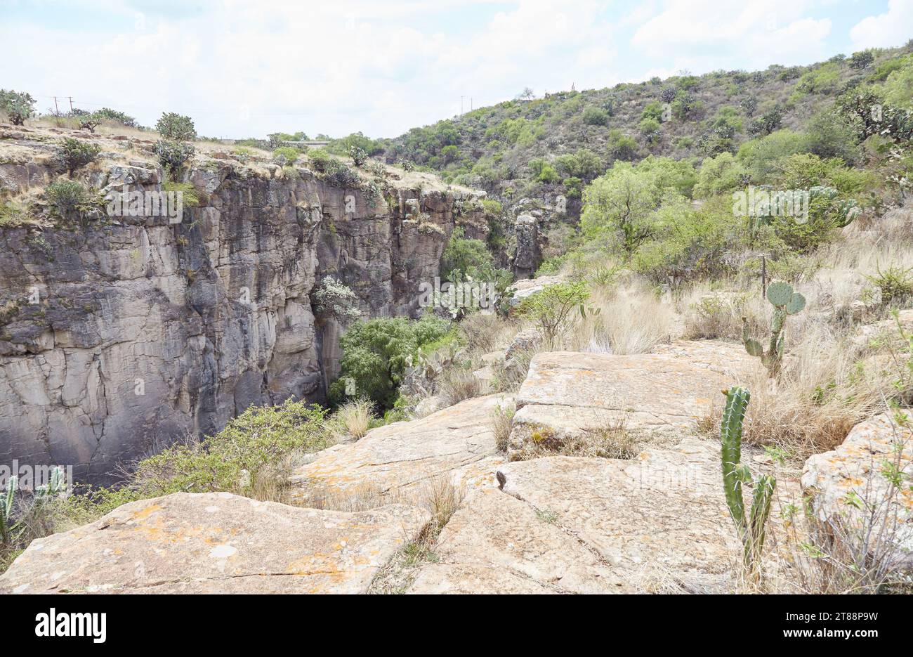 The scenic El Charco del Ingenio Botanical Garden in San Miguel de ...